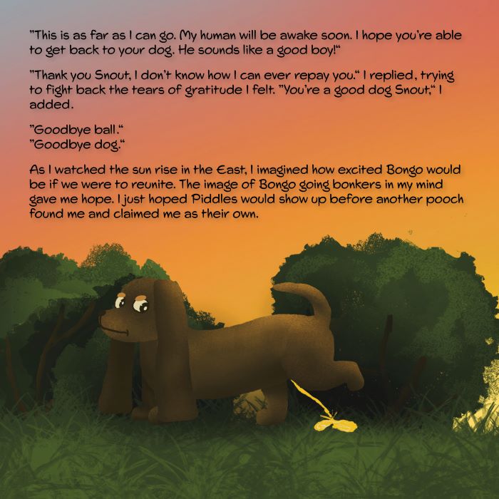 Fuzz: The Incredible Story of a Dog's Best Friend – Majik Kids Books